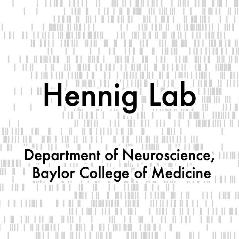 People – Hennig Lab – Learning and Optimization in Neural Populations